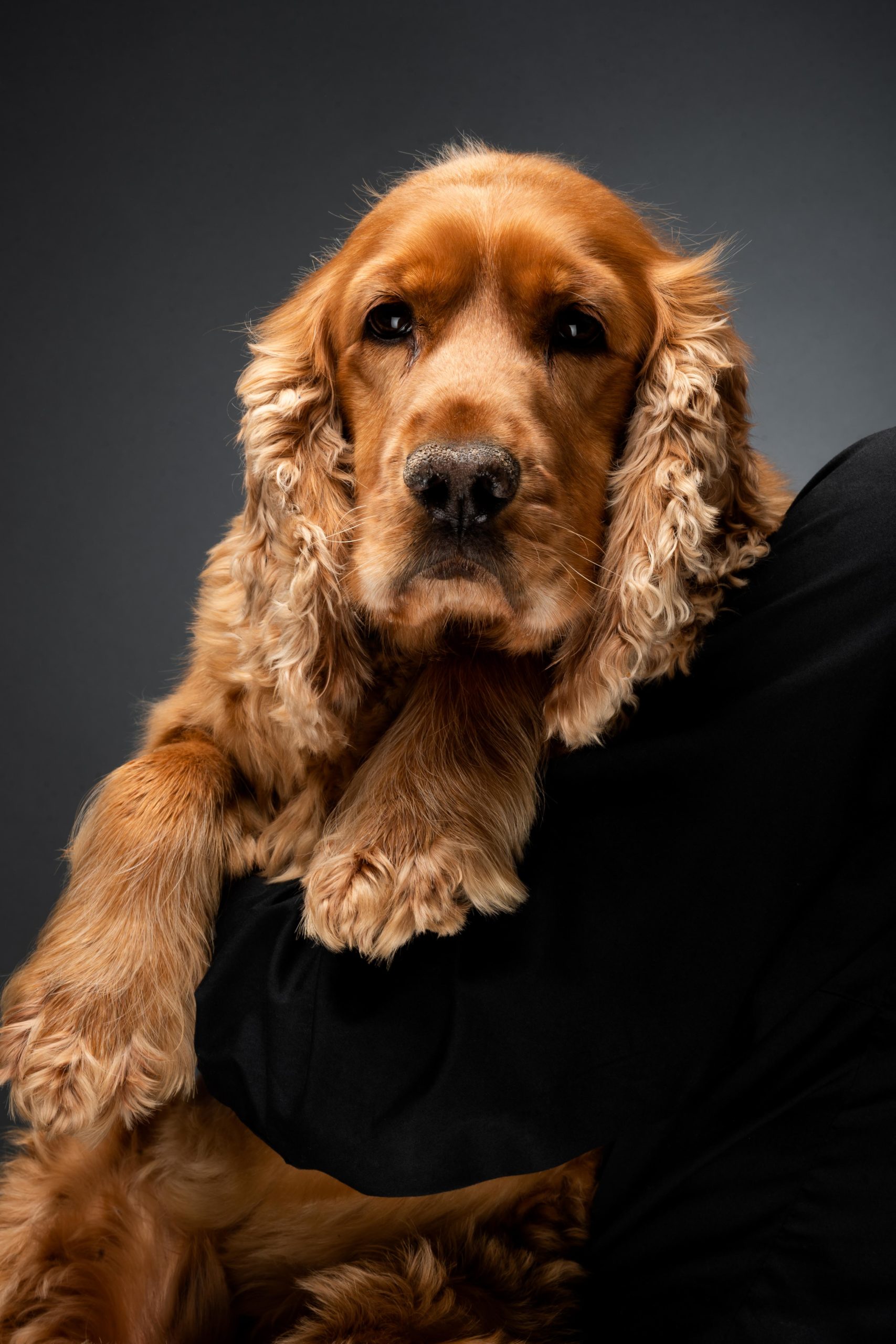 Büro - Neidl + Neidl